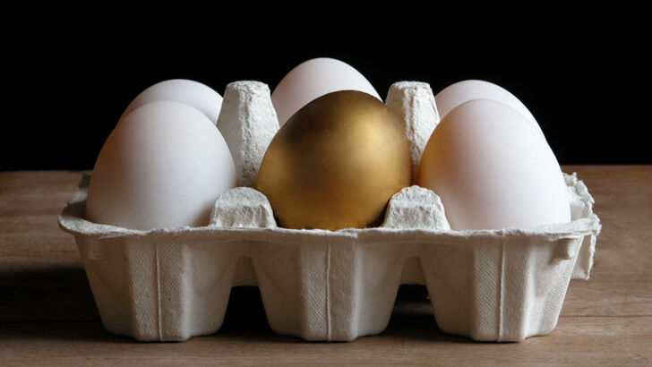 A quick guide to the different types of super funds | SelectingSuper